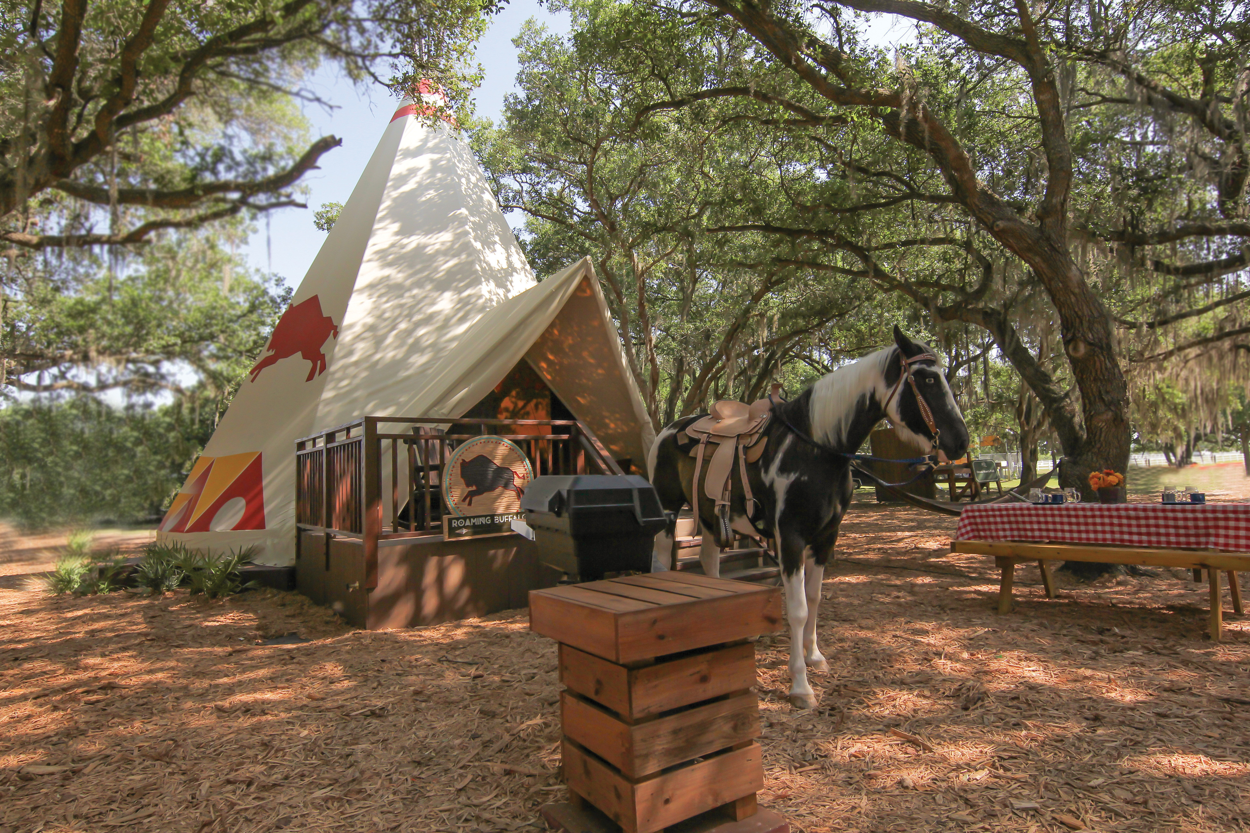 Photo Gallery | Westgate River Ranch Resort & Rodeo in River Ranch ...