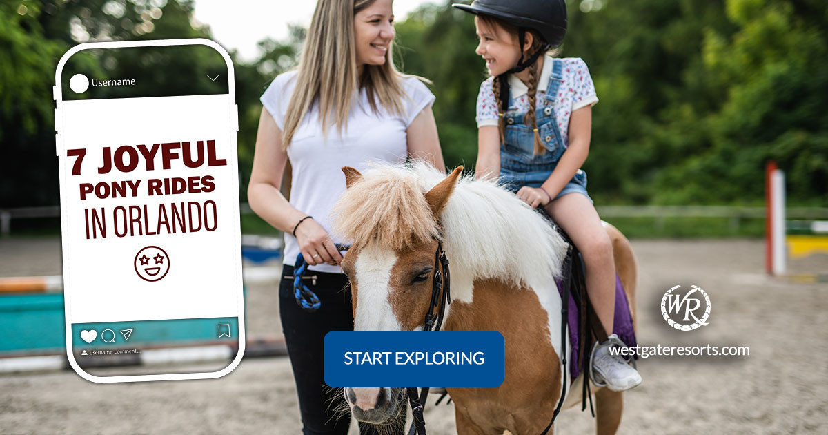 Surprise Your Kids With These 7 Joyful Pony Rides in Orlando