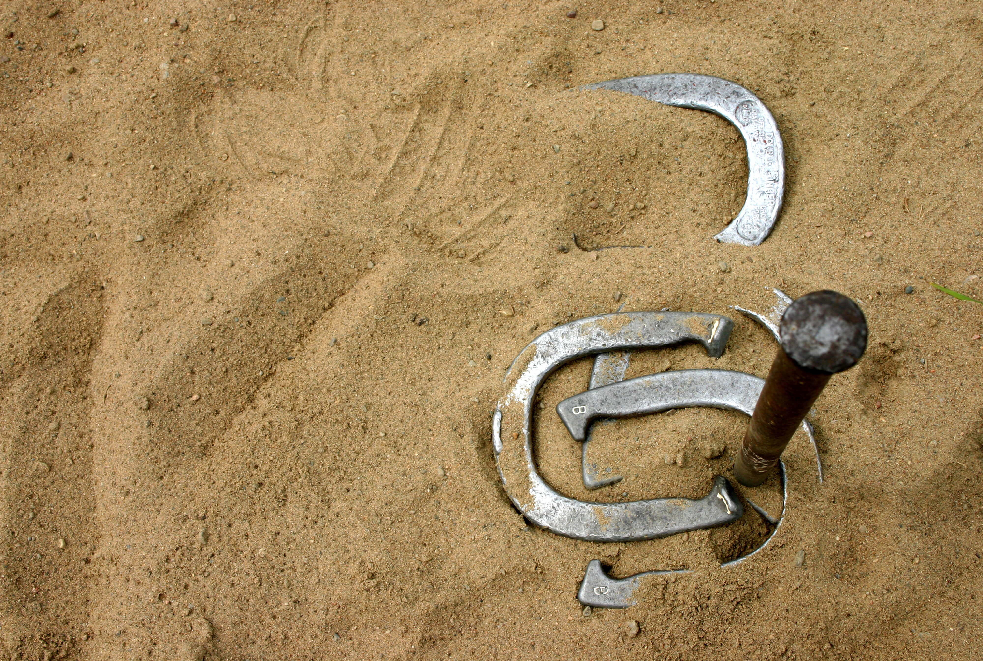 Horseshoe Pit - Westgate Flamingo Bay Resort