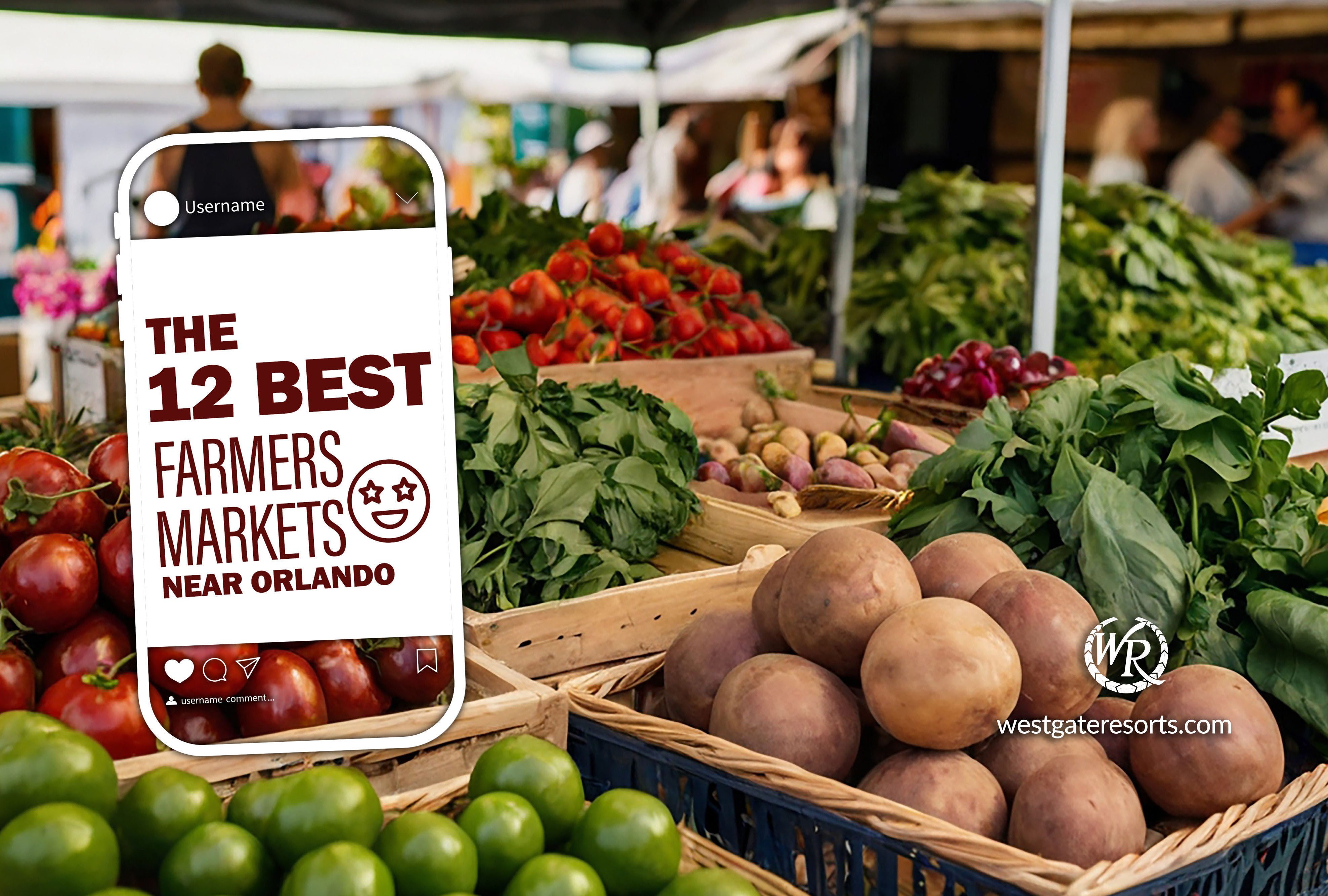 Mapa Del Lago Mary, Florida Y Sus Alrededores Woodstock: Vacaciones Al